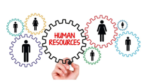 What Is A Role Of HR Generalist?